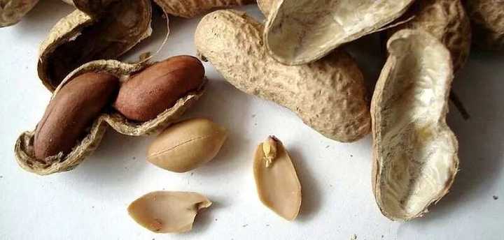 Difference between peanut and groundnut - Legit.ng