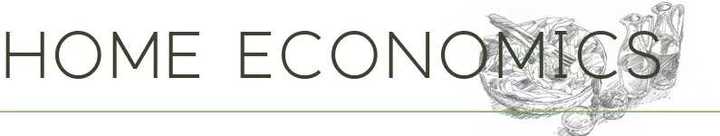 What is home economics? - Legit.ng