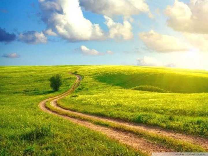 Ley farming advantages and disadvantages - Legit.ng