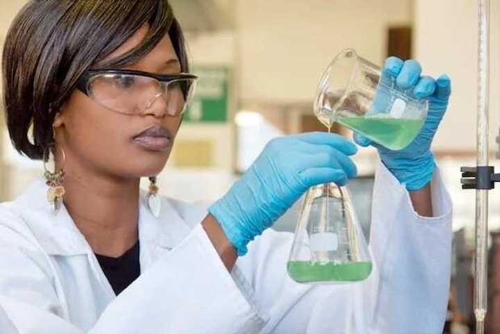 What is integrated science all about? - Legit.ng