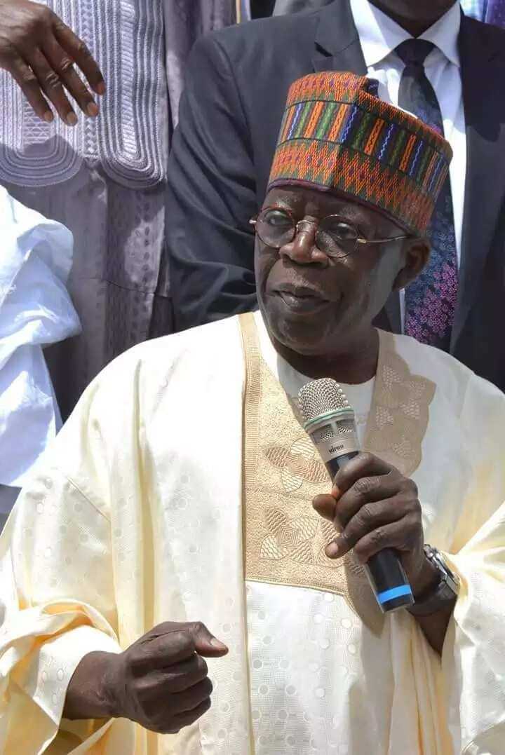 Meaning of Jagaban: facts you should know - Legit.ng