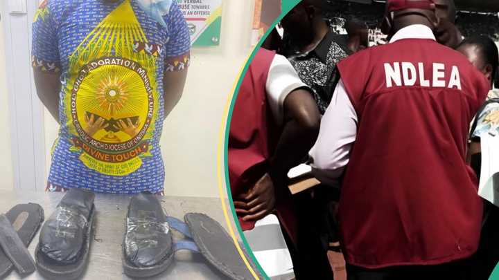 Ndlea Nigerian Drug Law Enforcement Agency News Updates On Legit Ng
