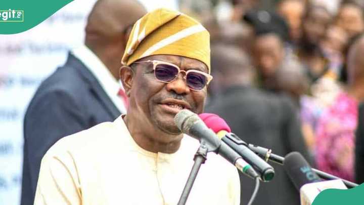 Who is Daniel Pitout? Meet the man behind the Orville Peck persona ...