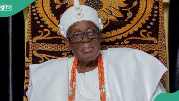 Who has the world's biggest forehead? Interesting facts - Legit.ng