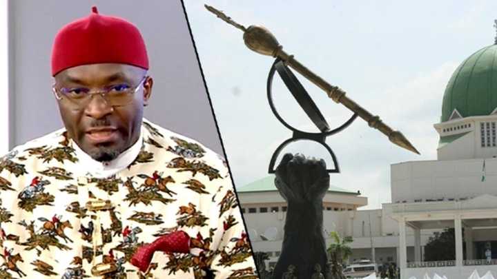 Kayja Rose’s biography: who is Joe Rogan’s adopted stepdaughter? - Legit.ng